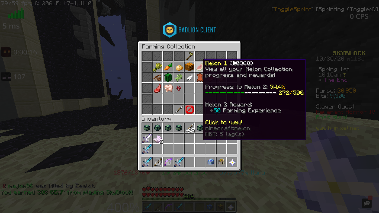 Best healer setup for a low catacombs levels | Hypixel Forums